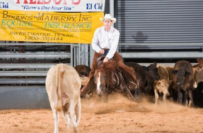 DUAL SMART REY - IN FOAL PARTNERS QUARTER HORSE STALLIONS