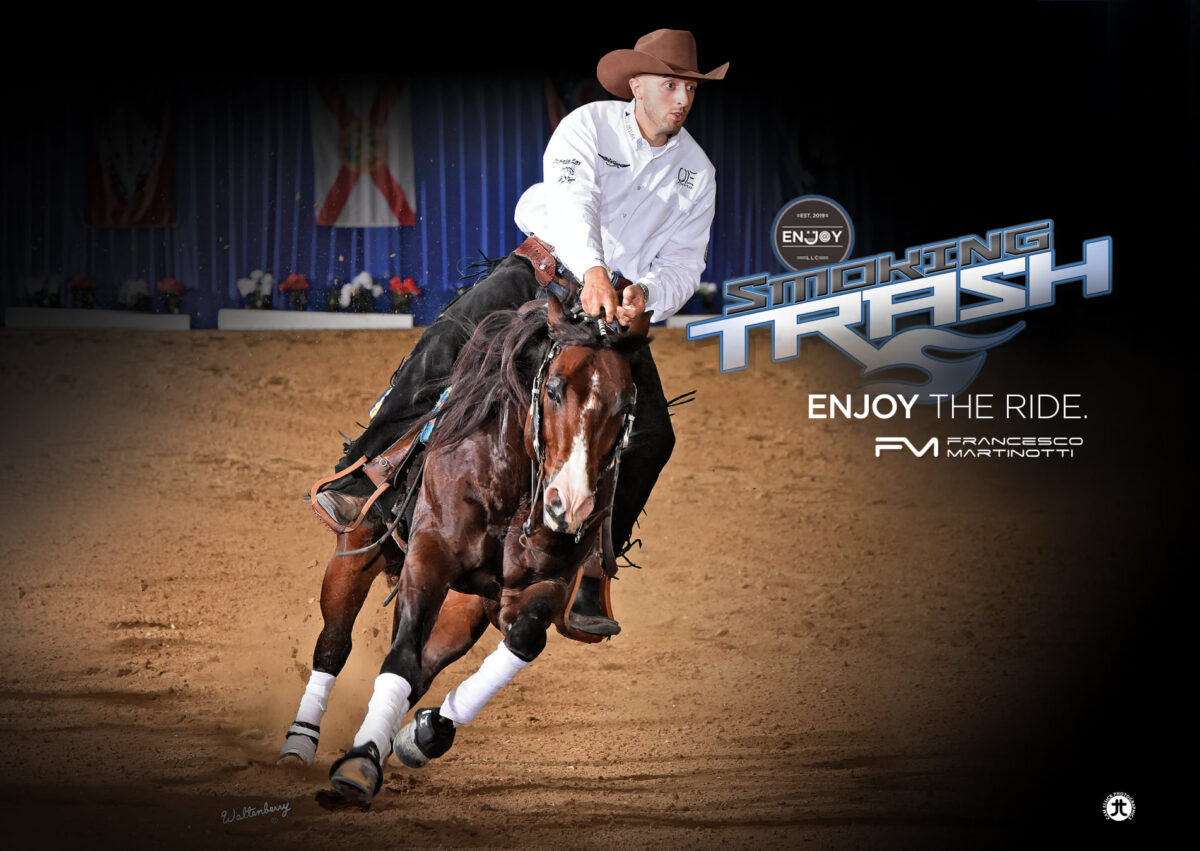 SMOKIN TRASH - IN FOAL PARTNERS QUARTER HORSE STALLIONS