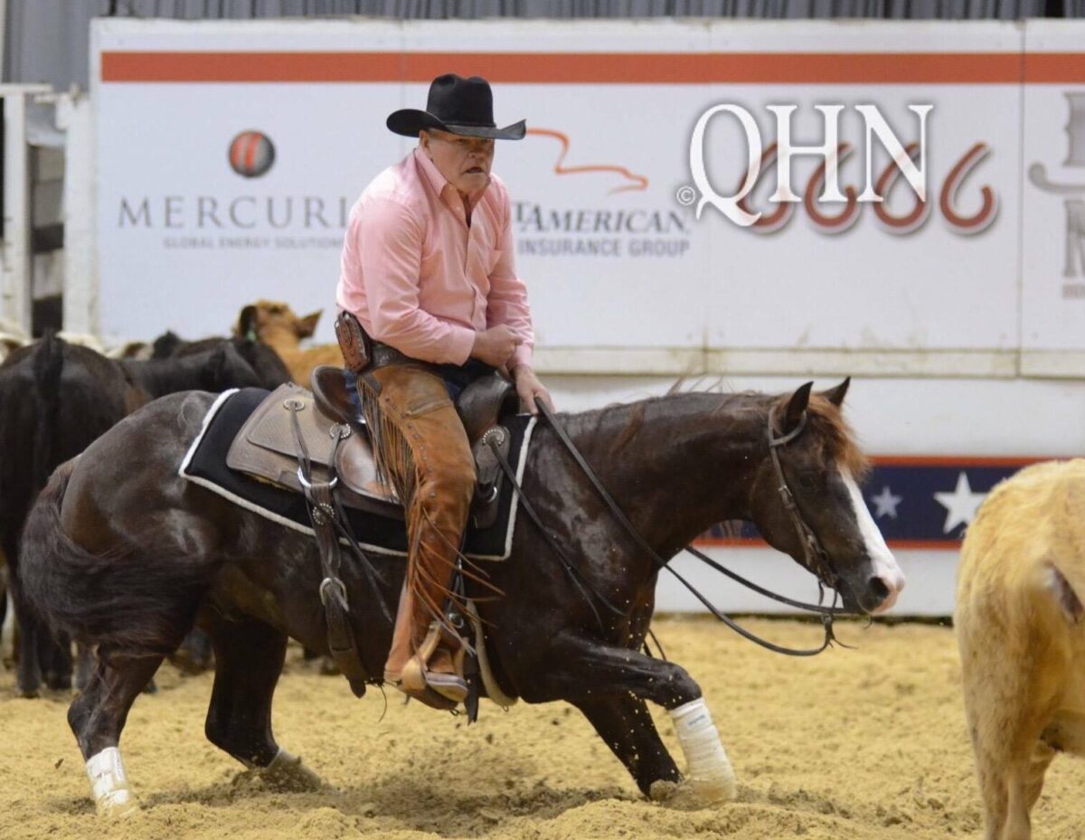 COOL N HOT - IN FOAL PARTNERS QUARTER HORSE STALLIONS