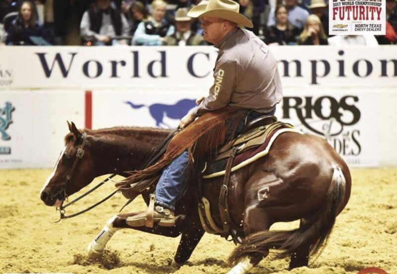 DUAL REYISH - IN FOAL PARTNERS QUARTER HORSE STALLIONS