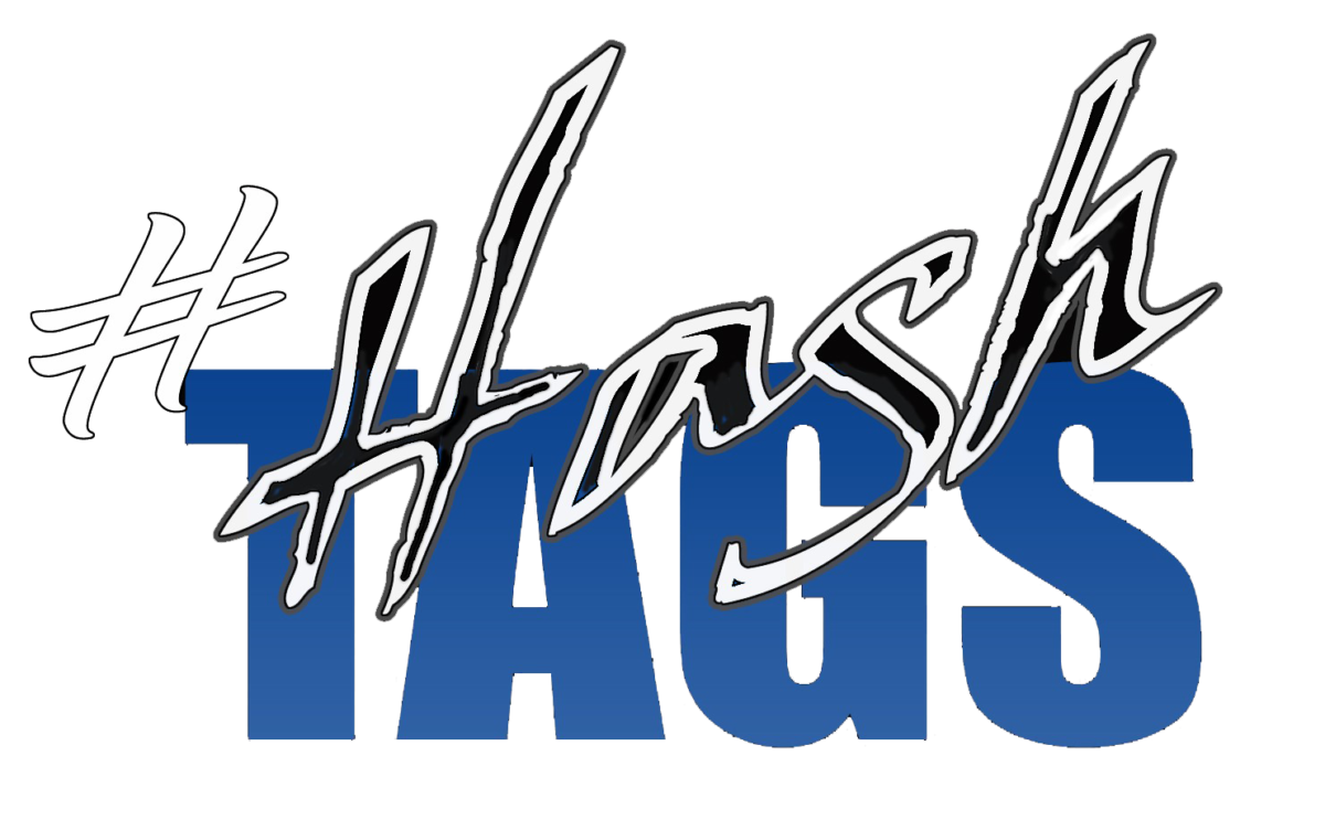 HASHTAGS - IN FOAL PARTNERS QUARTER HORSE STALLIONS