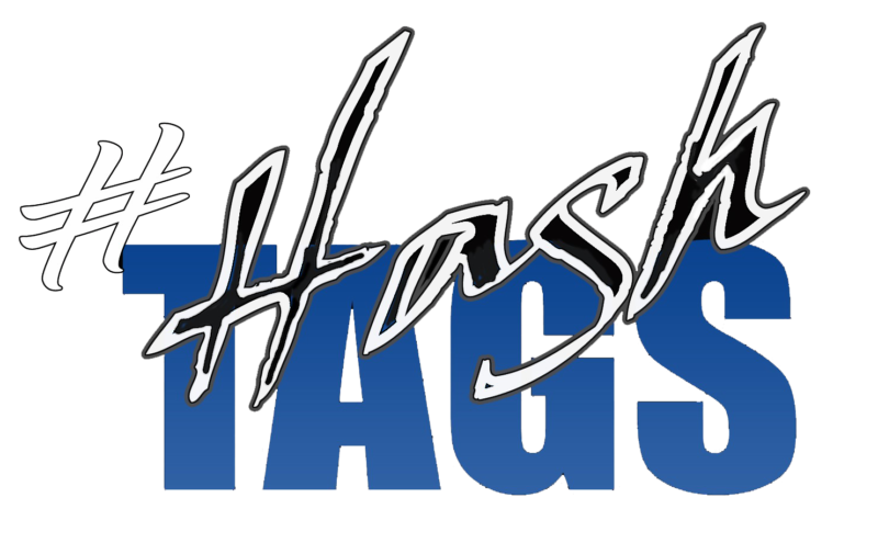 HASHTAGS - IN FOAL PARTNERS QUARTER HORSE STALLIONS