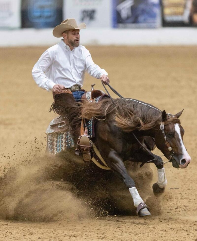 MR FARENHEIT - IN FOAL PARTNERS QUARTER HORSE STALLIONS