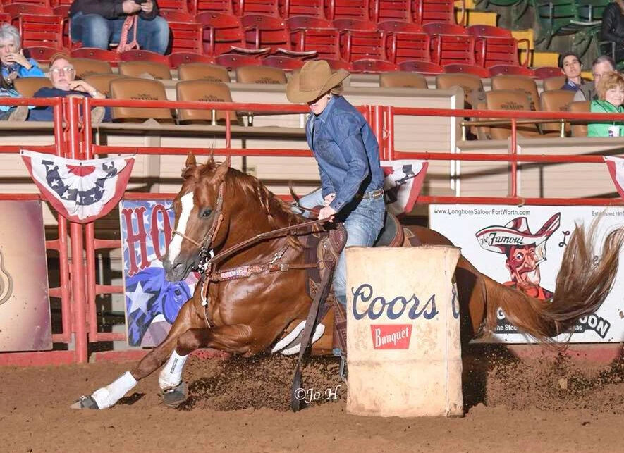 Red-Based Horse Colors – IN FOAL PARTNERS QUARTER HORSE STALLIONS