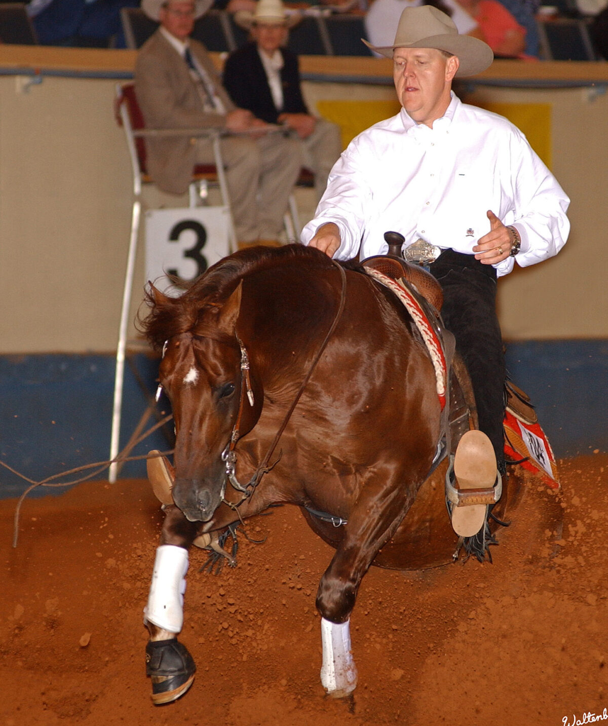JACS ELECTRIC SPARK - IN FOAL PARTNERS QUARTER HORSE STALLIONS