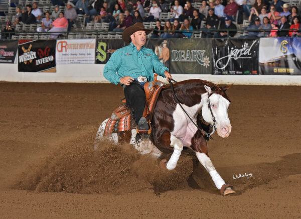 EPIC TITAN - IN FOAL PARTNERS QUARTER HORSE STALLIONS