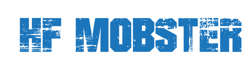 HF MOBSTER - IN FOAL PARTNERS QUARTER HORSE STALLIONS