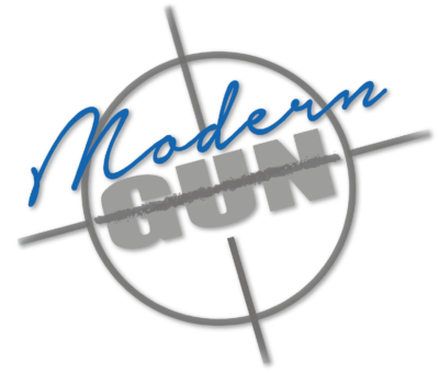 MODERN GUN - IN FOAL PARTNERS QUARTER HORSE STALLIONS