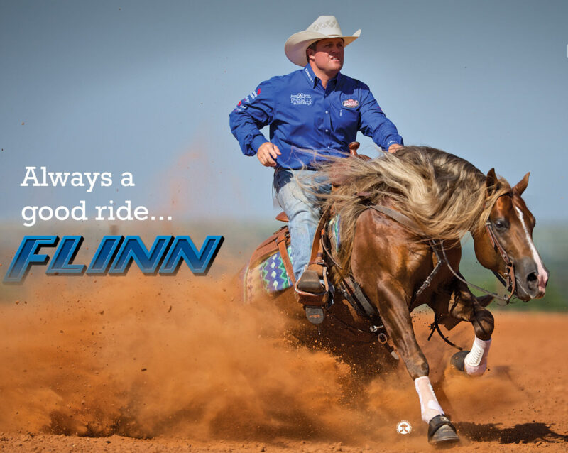 IN LIKE FLINN - IN FOAL PARTNERS QUARTER HORSE STALLIONS