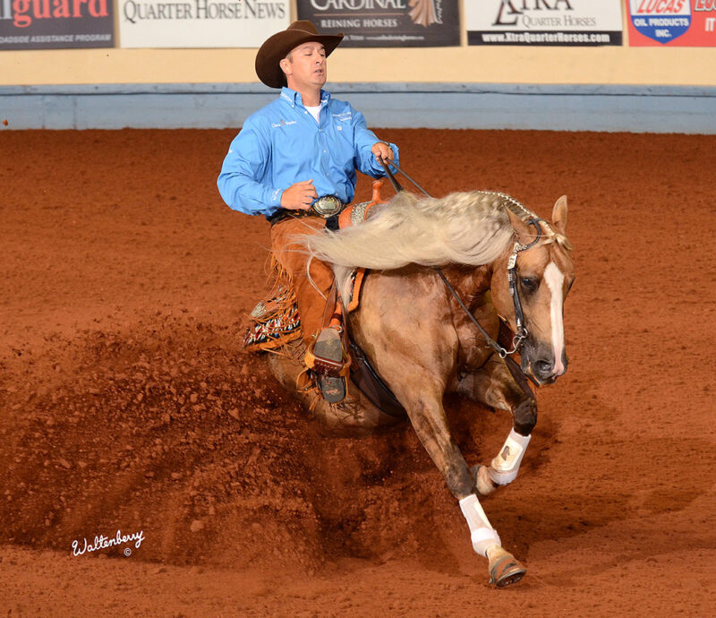 PLATINUM VINTAGE - IN FOAL PARTNERS QUARTER HORSE STALLIONS