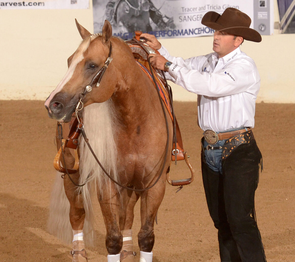 PLATINUM VINTAGE - IN FOAL PARTNERS QUARTER HORSE STALLIONS