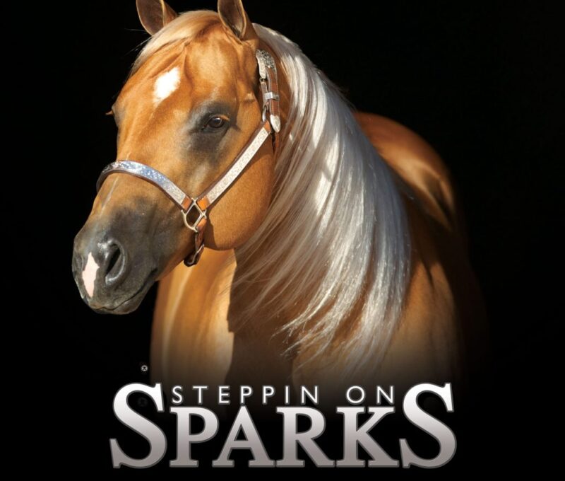 STEPPIN ON SPARKS - IN FOAL PARTNERS QUARTER HORSE STALLIONS