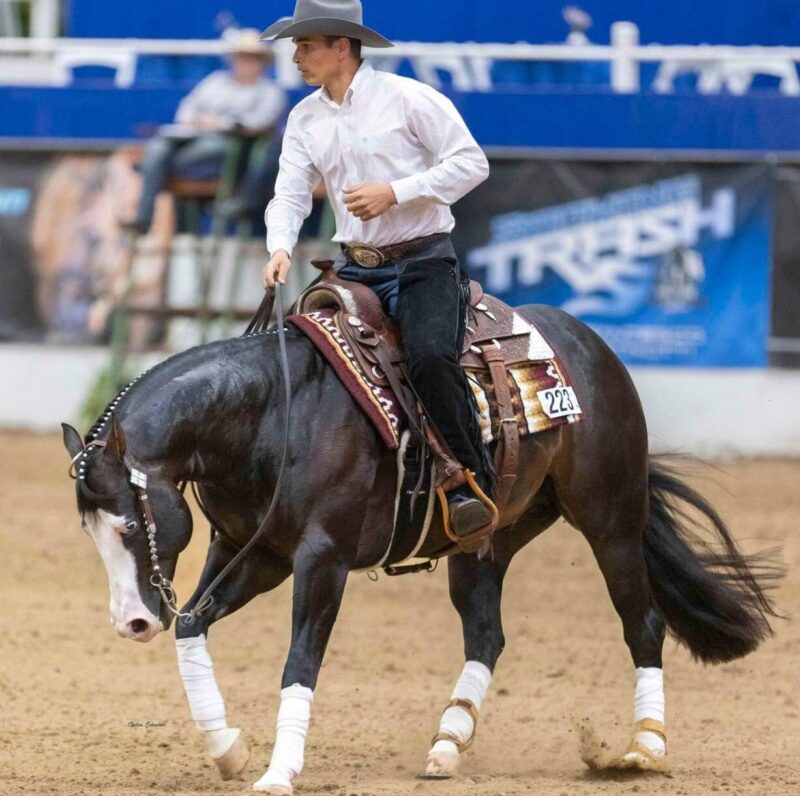 SPOOKS GOTTA OUTFIRE - IN FOAL PARTNERS QUARTER HORSE STALLIONS