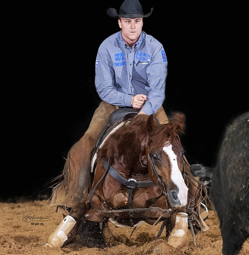 ROLLZ ROYCE - IN FOAL PARTNERS QUARTER HORSE STALLIONS