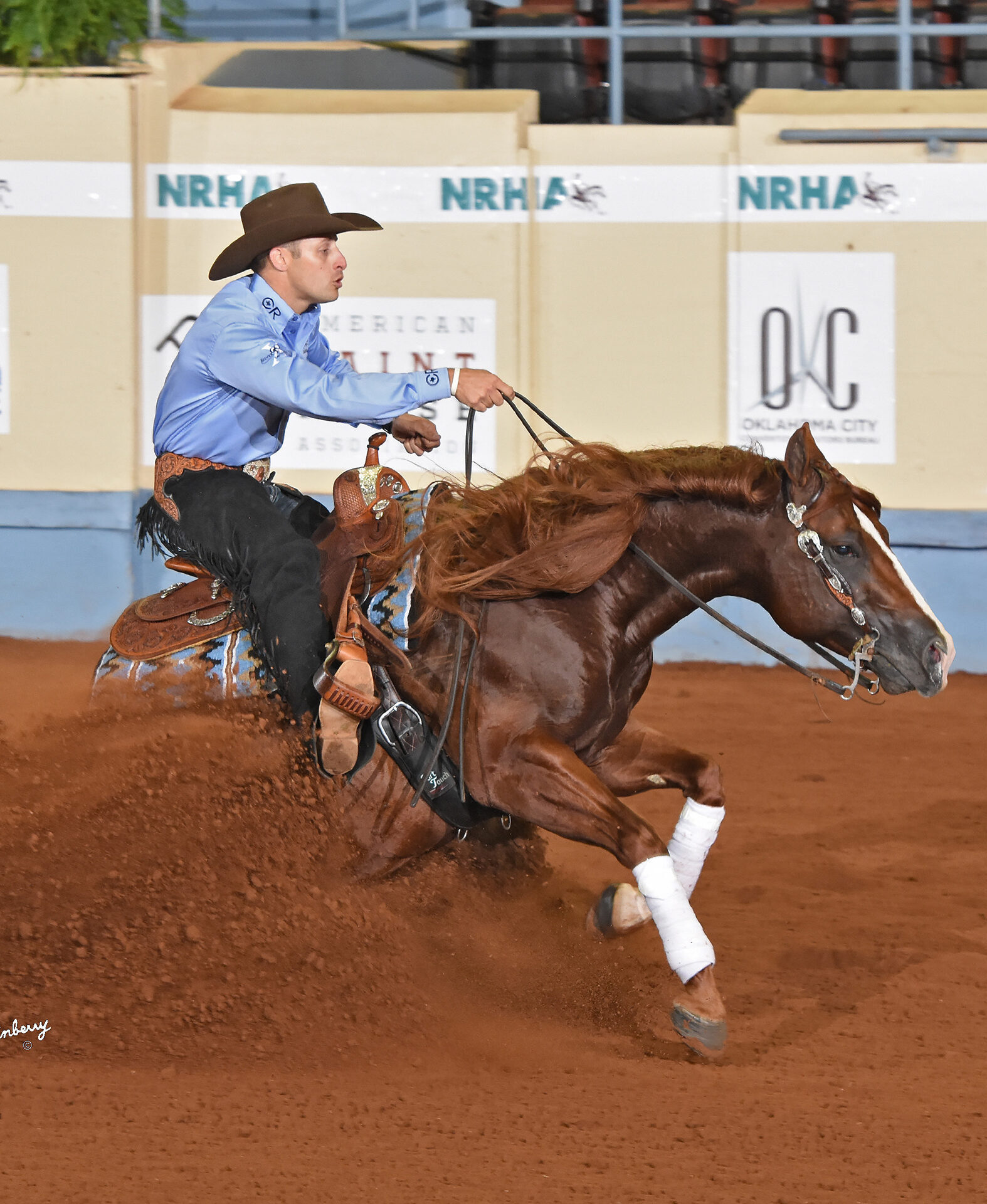 ELECTRIC WIND - IN FOAL PARTNERS QUARTER HORSE STALLIONS