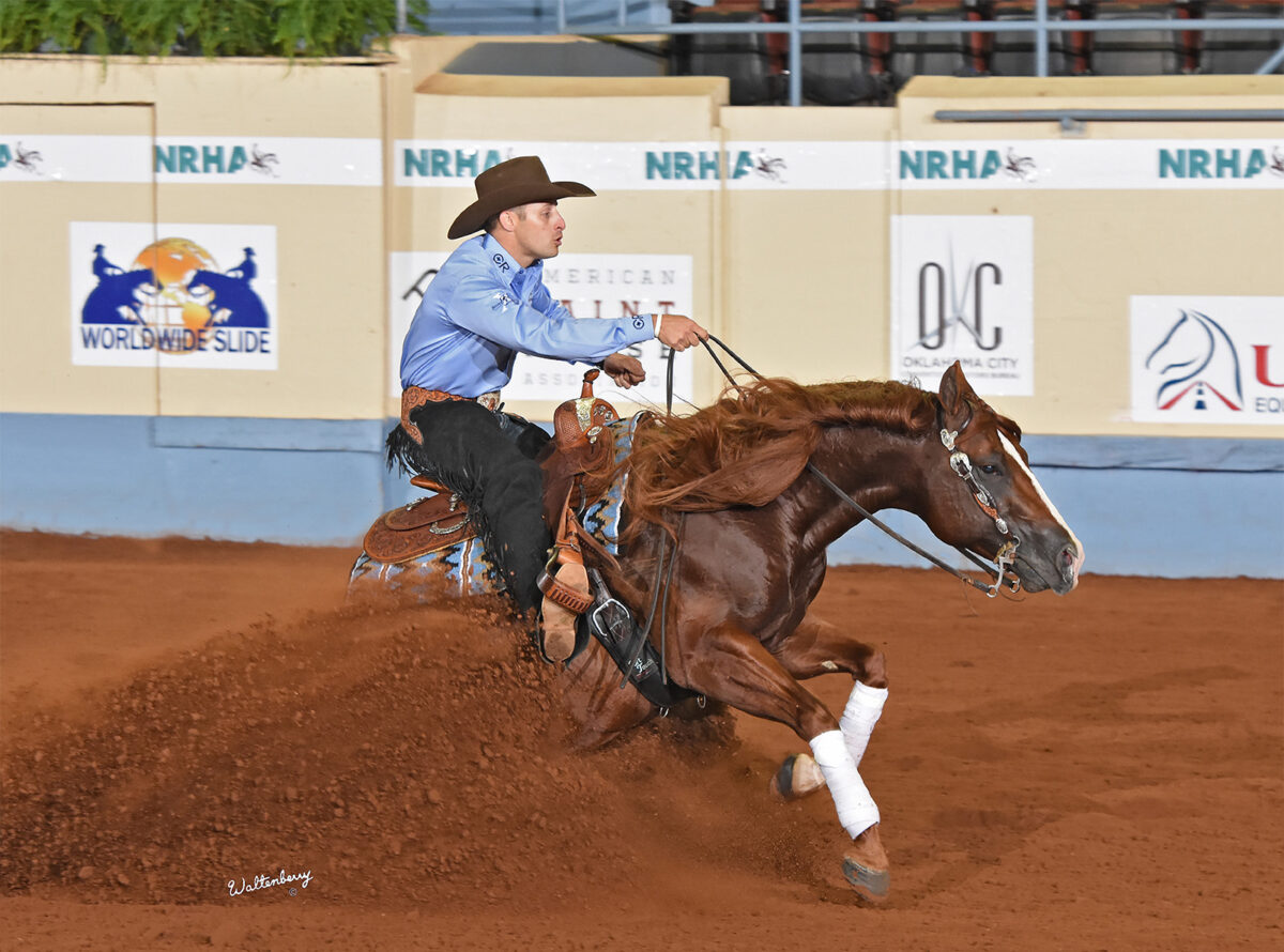 Stallion List - IN FOAL PARTNERS QUARTER HORSE STALLIONS