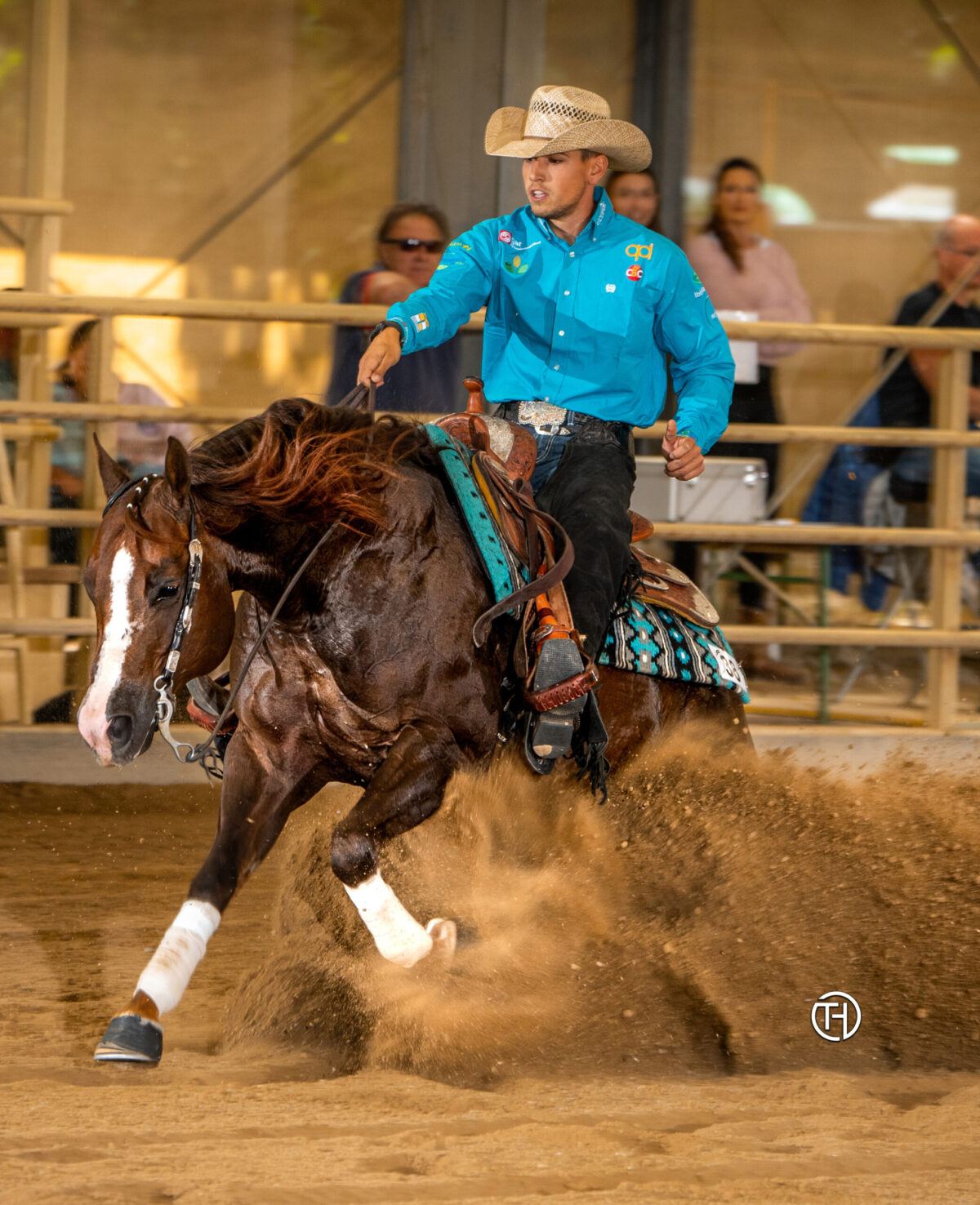 COLONELS DANCING GUN - IN FOAL PARTNERS QUARTER HORSE STALLIONS
