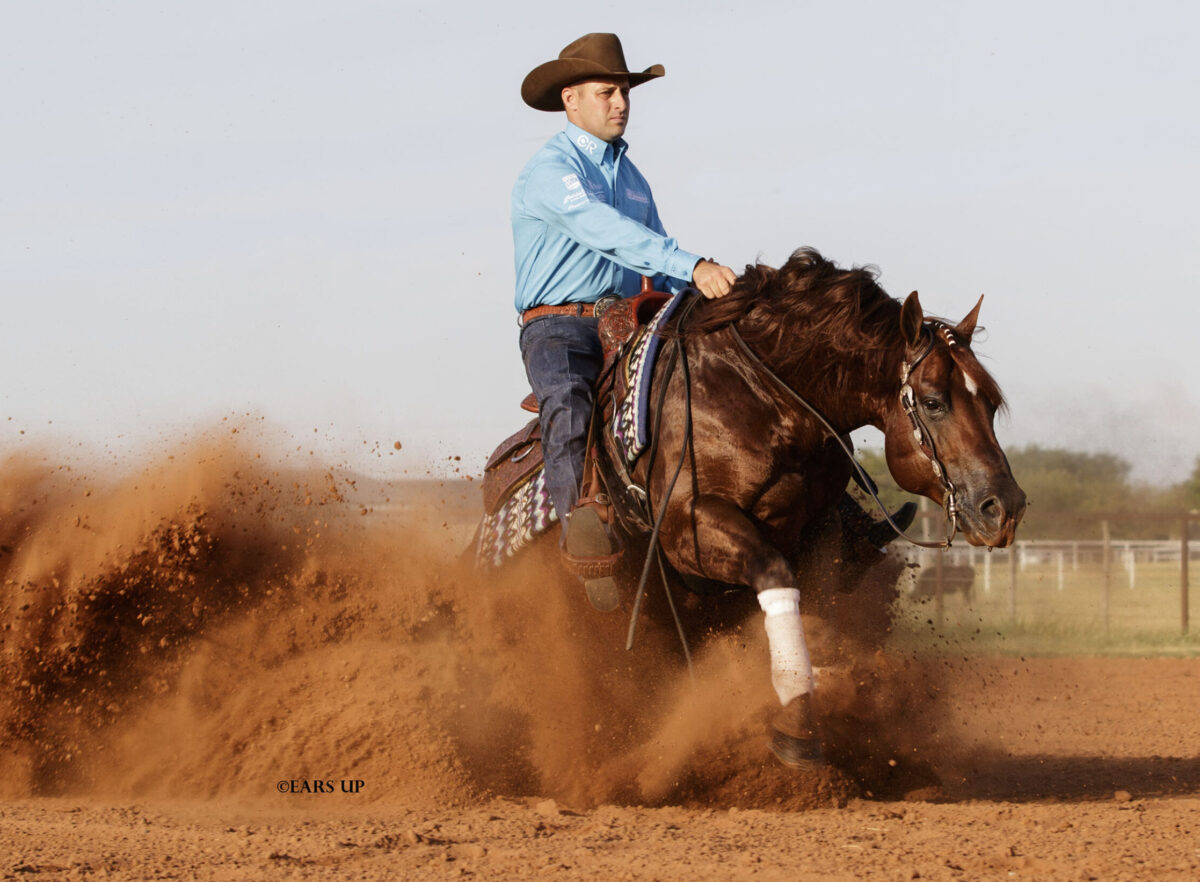 Infoal Home ENG - IN FOAL PARTNERS QUARTER HORSE STALLIONS