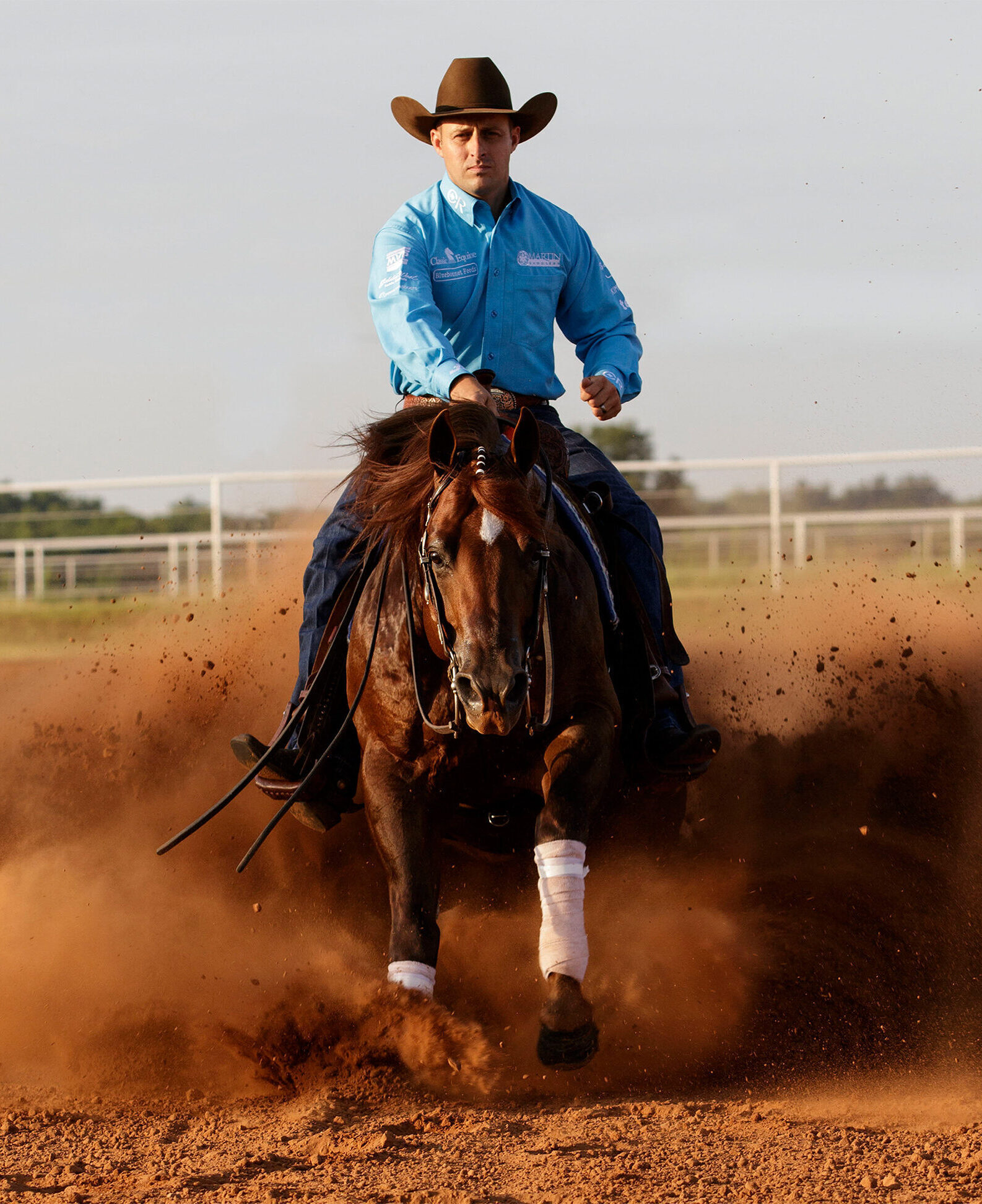ELECTRIC WIND - IN FOAL PARTNERS QUARTER HORSE STALLIONS