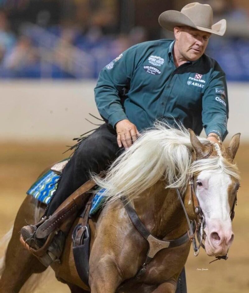 TRASH YOUR GAL - IN FOAL PARTNERS QUARTER HORSE STALLIONS