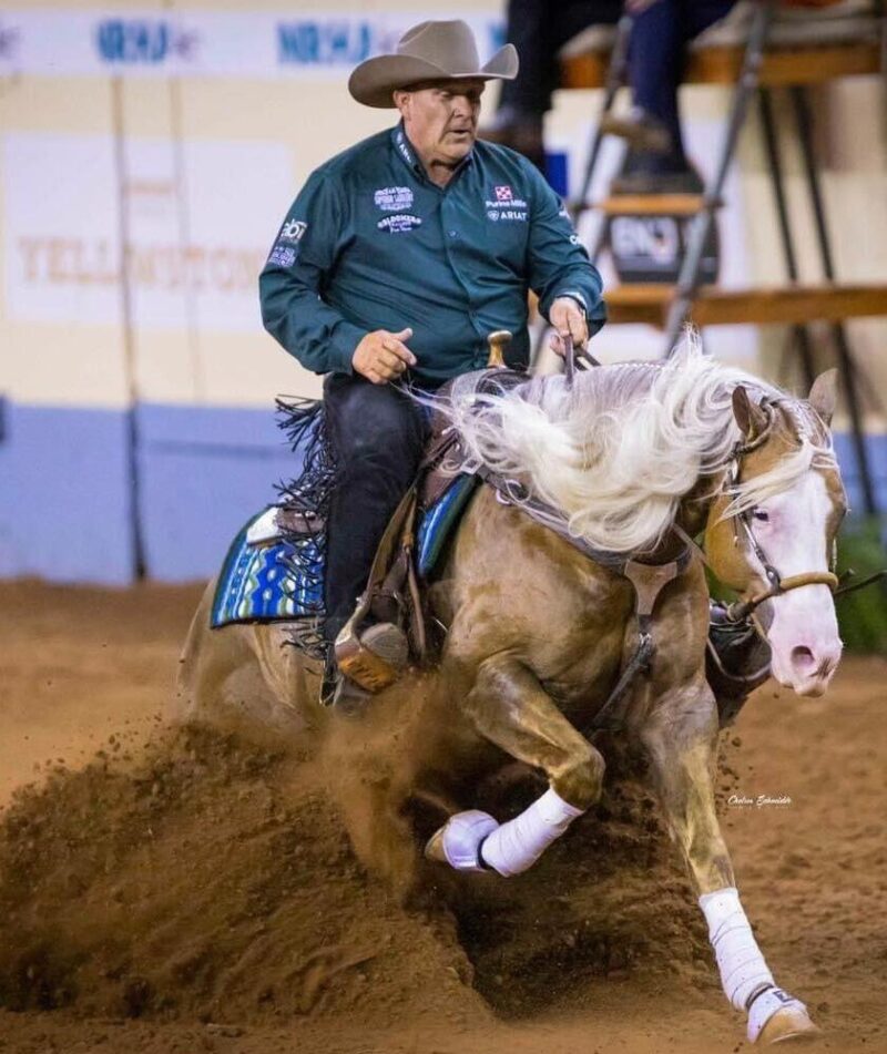 TRASH YOUR GAL - IN FOAL PARTNERS QUARTER HORSE STALLIONS