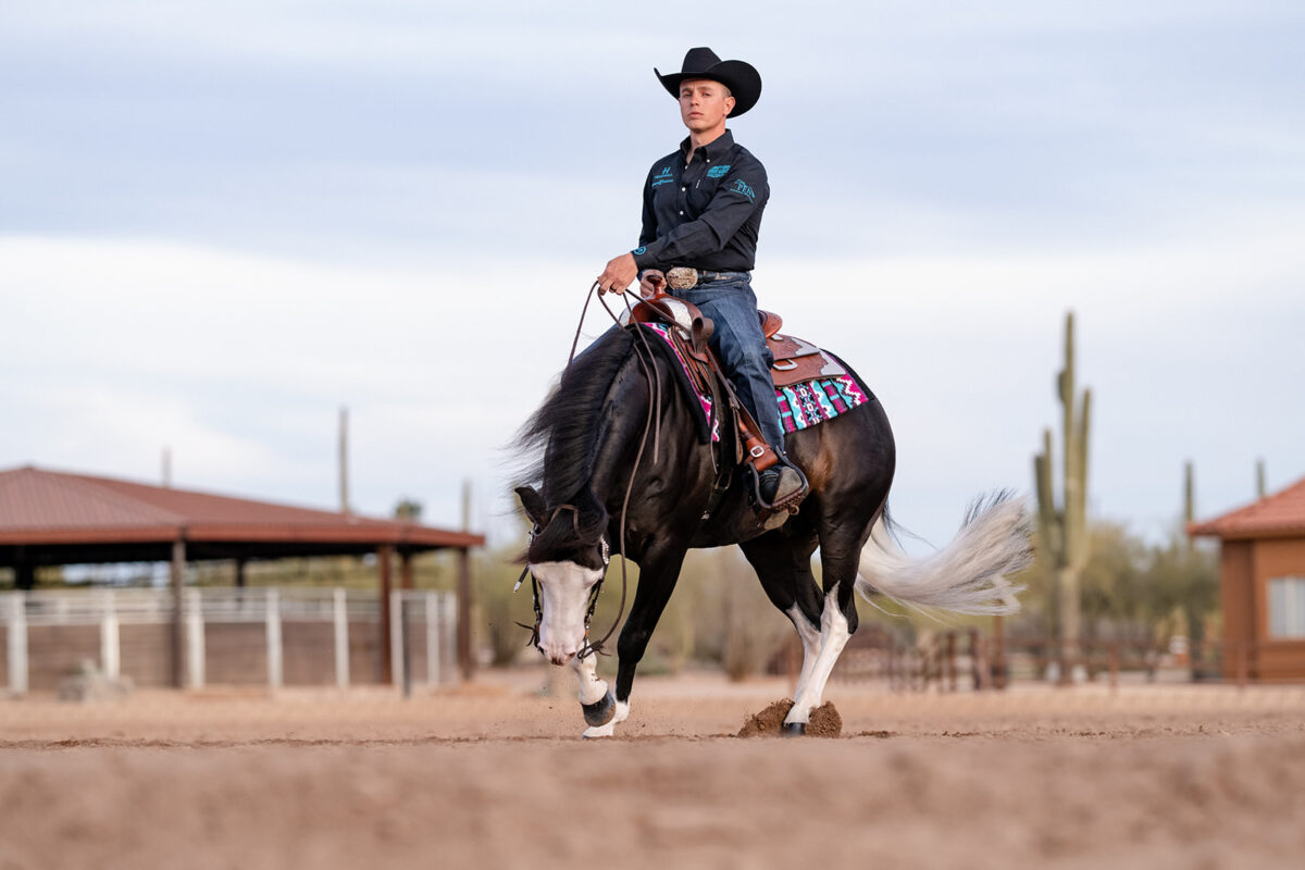 007 #IN FOAL PARTNERS QUARTER HORSE STALLIONS