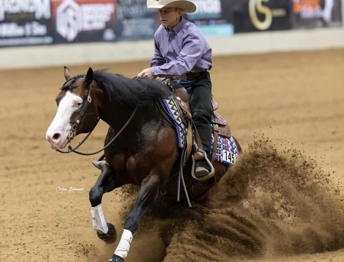 MAGNUMS CUSTOM DREAM #IN FOAL PARTNERS QUARTER HORSE STALLIONS